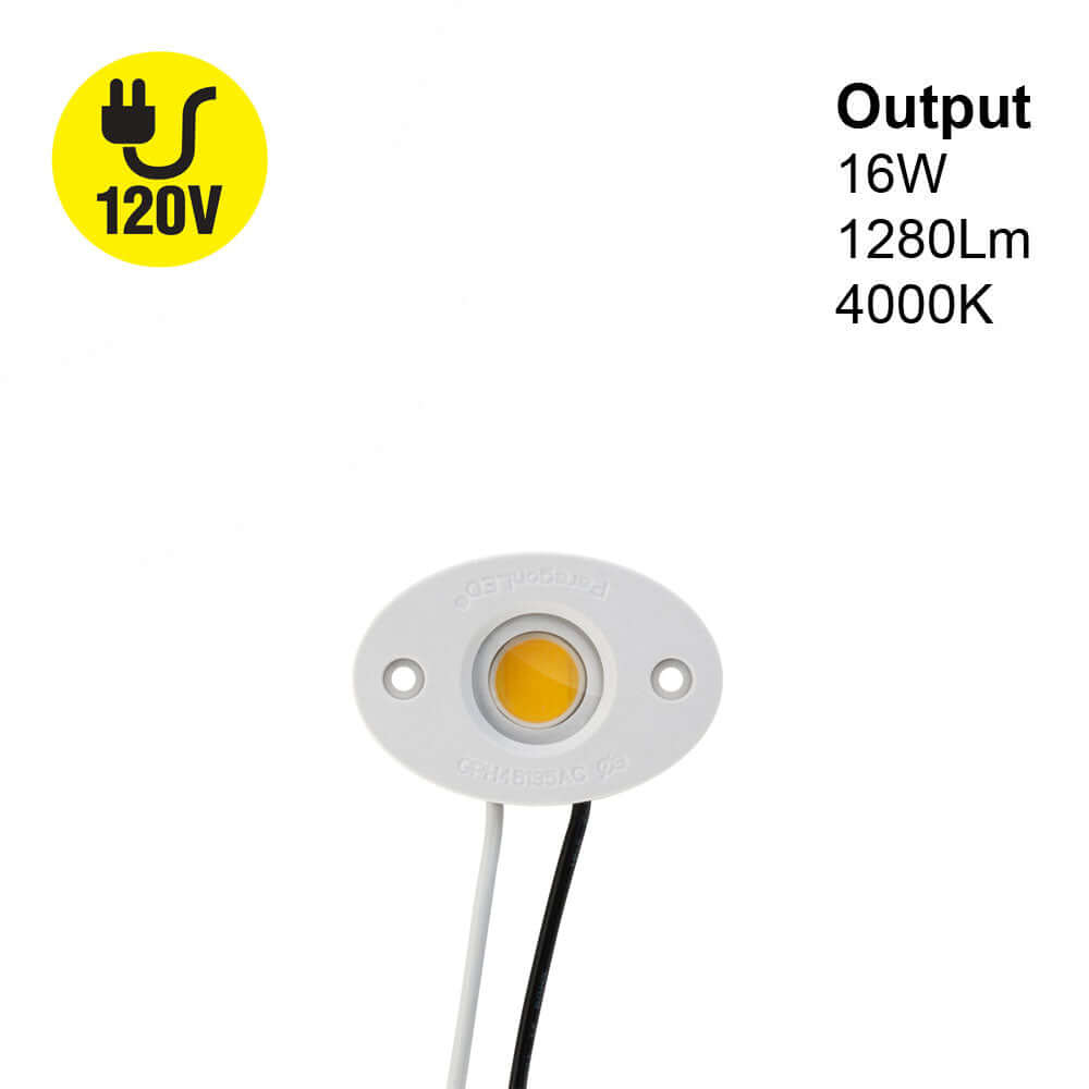 CBAC-84-30135-120-4000-G12 COB Paragon LED Module – GekPower